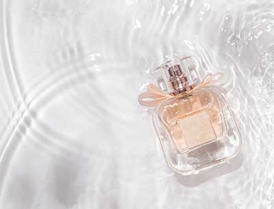 CENSEE LIGHTING SAIDU - CENSEE LIGHTING